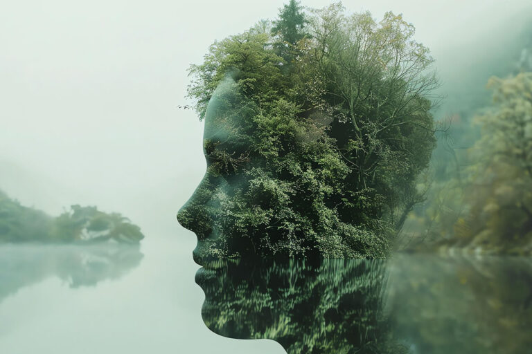 Environmental Psychology: How Surroundings Influence Human Behavior and ...