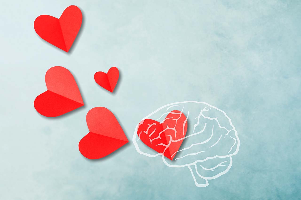 How Does the Structure of Our Brain Affect Our Emotions? - Psychology Times