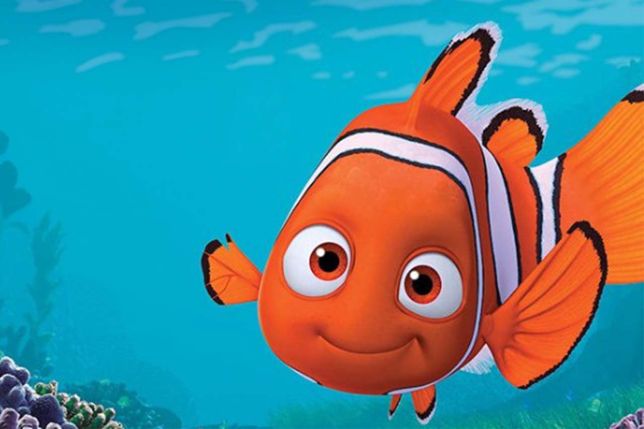 Small Fin, Big Heart: Nemo and the Journey of Developmental Discovery ...