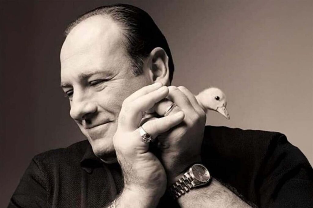 Tony Soprano: The Psychological Effects of the “Livia Soprano” Maternal ...