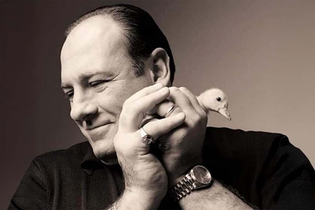 Tony Soprano: The Psychological Effects of the “Livia Soprano” Maternal ...