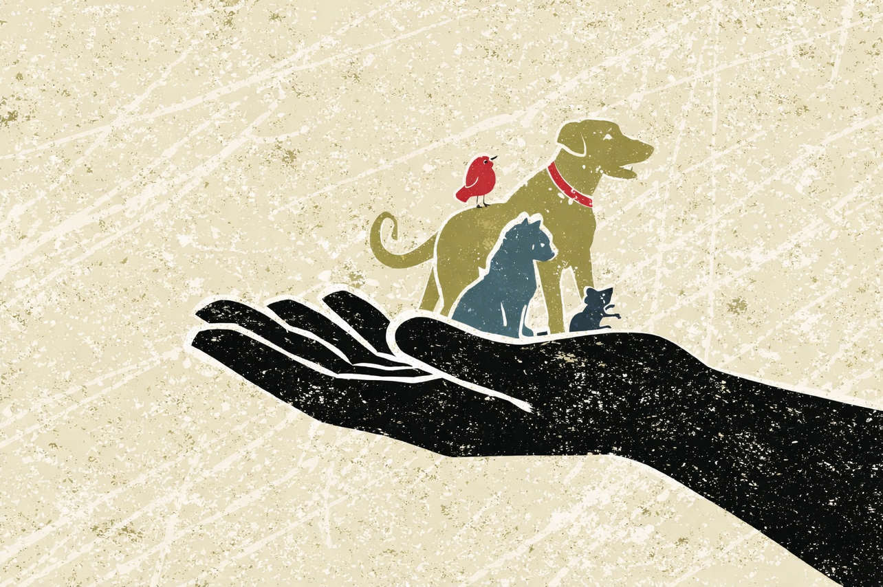 From Living Being To Property: Psychological And Sociological ...